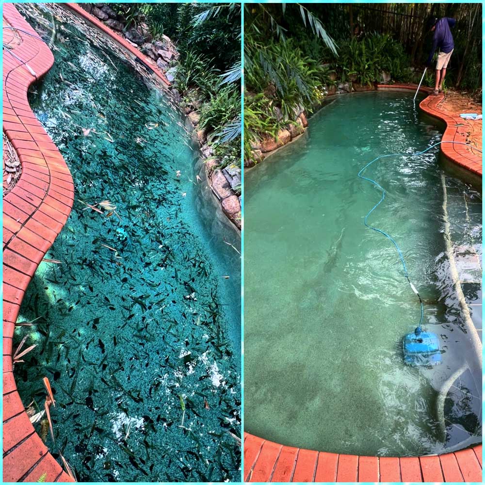 Marina Pools Capalaba - The Clear Choice For Quality Pool Care